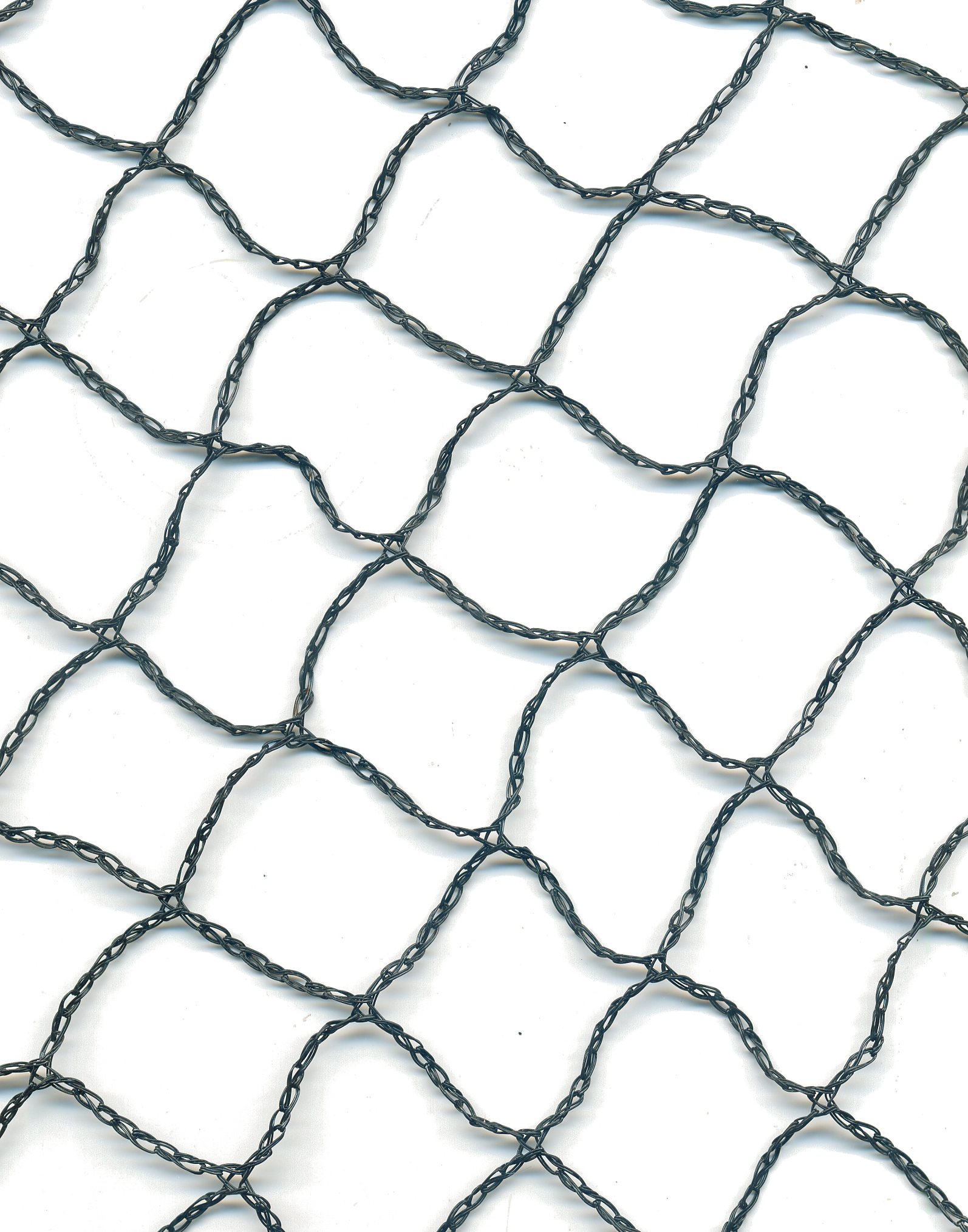 Rete antiuccelli e antipassero - Quartulli